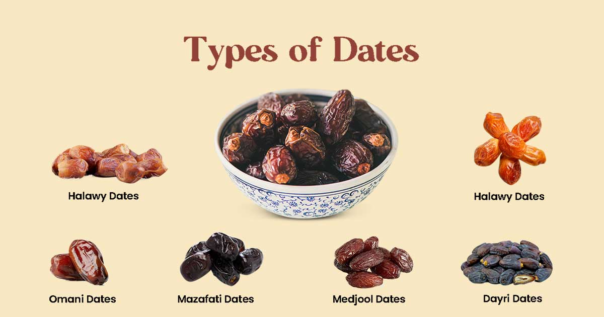 All Iranian dates in 2024- Milsen Group